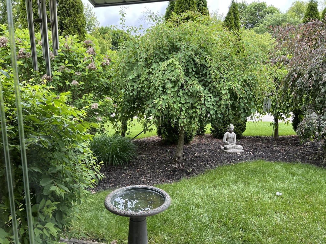 Online Only 504 S Stratton Way Auction